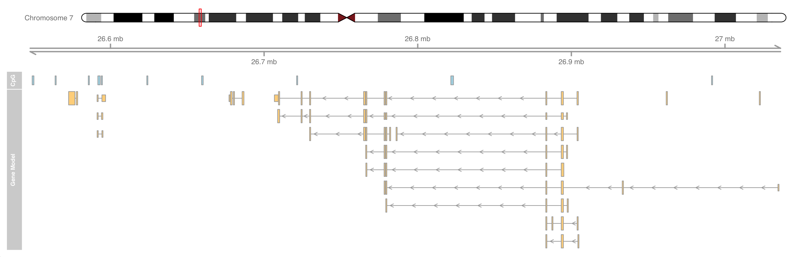 Use GVIZ package to achieve genome data visualization - Programmer Sought