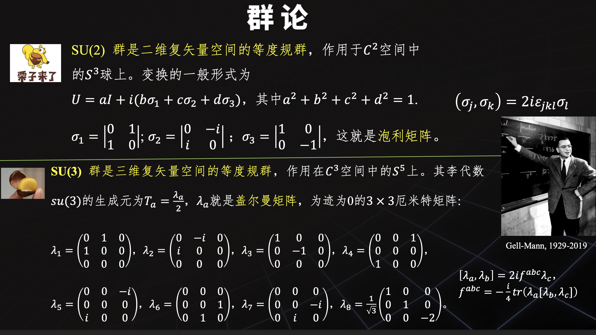 四元数与SU(2)群以及李群_四元数 su2-CSDN博客