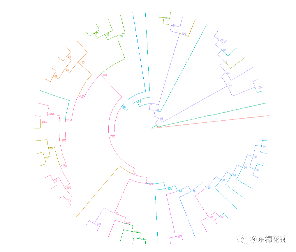 figtree如何编辑进化树_进化树的注释：ggtree_weixin_39747296的博客-CSDN博客