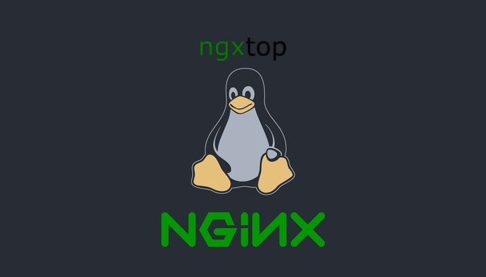 实时监控Nginx日志文件：ngxtop详解-CSDN博客