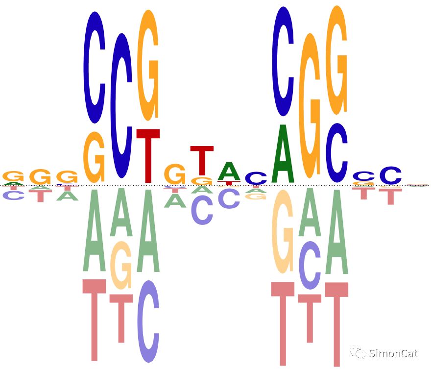 MotifStack：多motif序列比较和可视化-CSDN博客