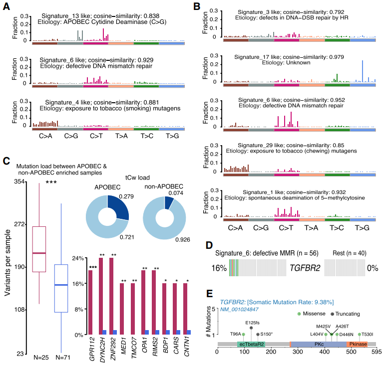 一文学会R包 maftools 简介使用-CSDN博客