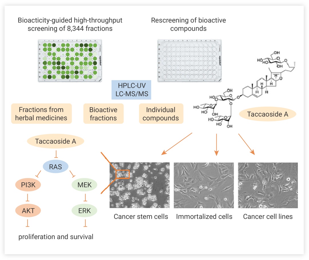 中药单体库 ｜ 高通量药筛化合物库| MedChemExpress_mce china的博客-CSDN博客