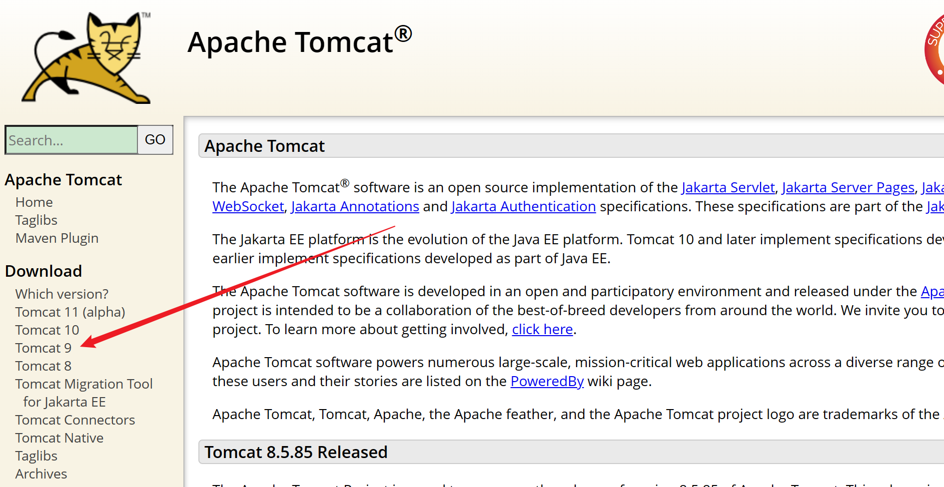 【配置】Tomcat 9的安装_tomcat9安装-CSDN博客