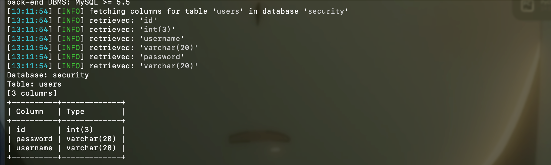 day5 --- 一篇文章入门sql注入-CSDN博客