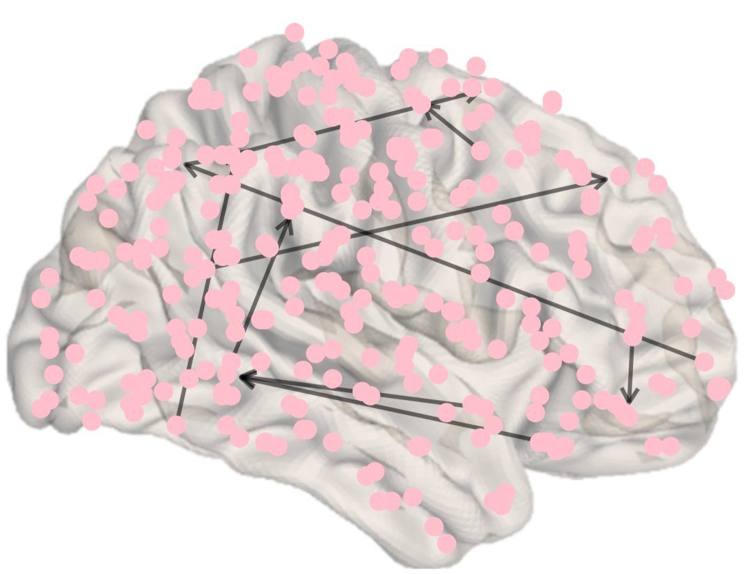 R| brainconn功能连接作图工具-CSDN博客