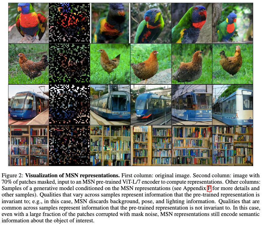 MSN：用于小样本学习的掩码孪生网络_masked siamese networks for label-efficient learni-CSDN博客