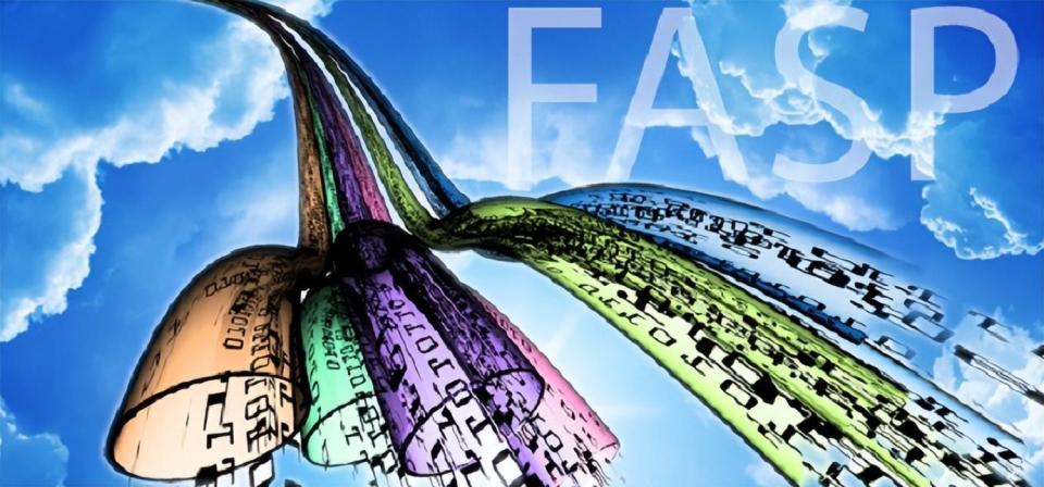 大容量文件传输的高速传输协议解决方案评估与比较_大批量文件传输完整性解决方案-CSDN博客