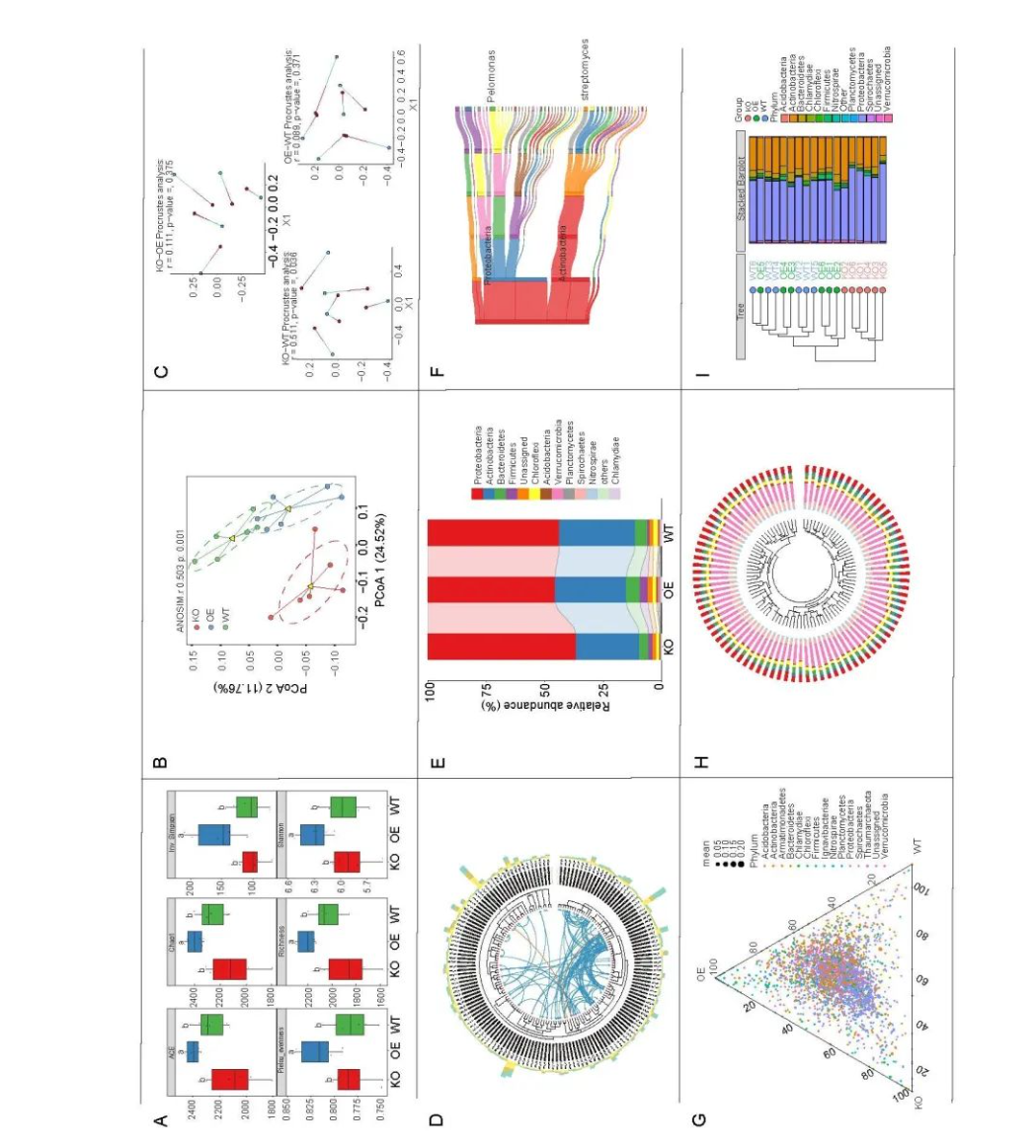 转录组综合分析包TomicsVis | 最终还是有人做了!!!!_转录组tomicsvis-CSDN博客