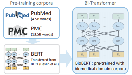 用biobert标记基因和蛋白质_weixin_26704853的博客-CSDN博客