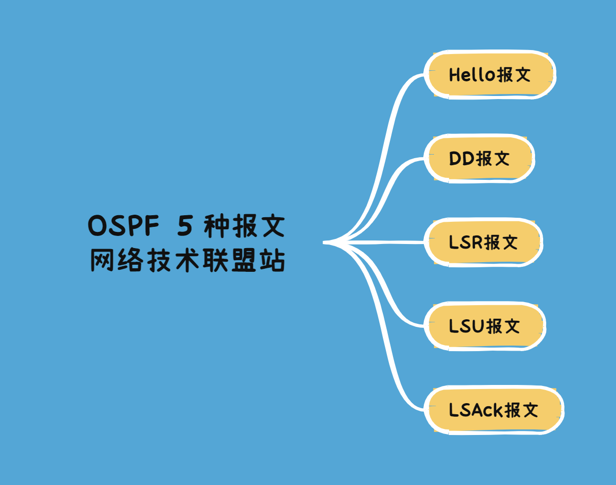 OSPF5种报文：Hello报文、DD报文、LSR报文、LSU报文和LSAck报文-CSDN博客