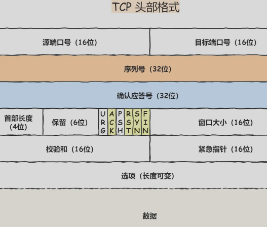 Net TCP 概述_net.tcp-CSDN博客
