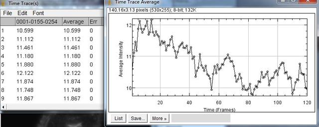 距离分析导出_干货 | ImageJ分析时间序列图像_我解决我的问题的博客-CSDN博客