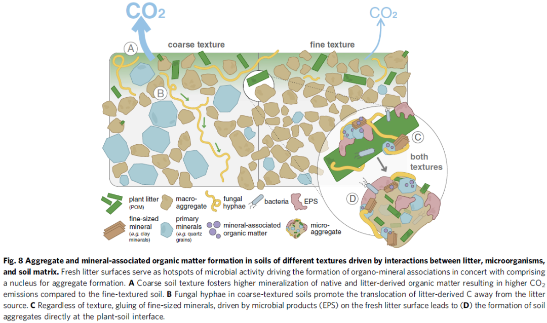 Nature Communications | 颗粒有机物是土壤有机碳的功能组分_particulate organic matter as ...