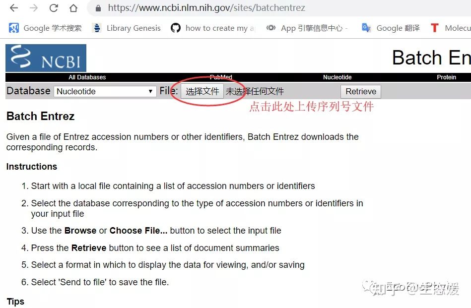 Alignment--本地blast使用详解1-数据库序列检索下载及比对_blast 本地不建库比对-CSDN博客