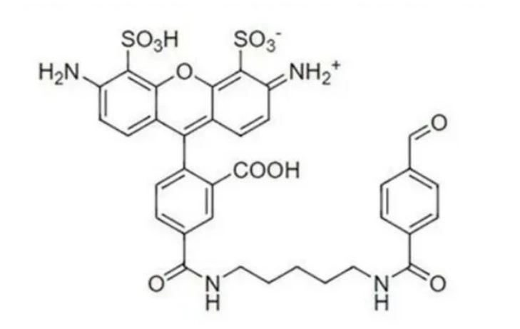 Alexa-Fluor488 醛，AF488 aldehyde,具有良好的水溶性和细胞膜透过性-CSDN博客