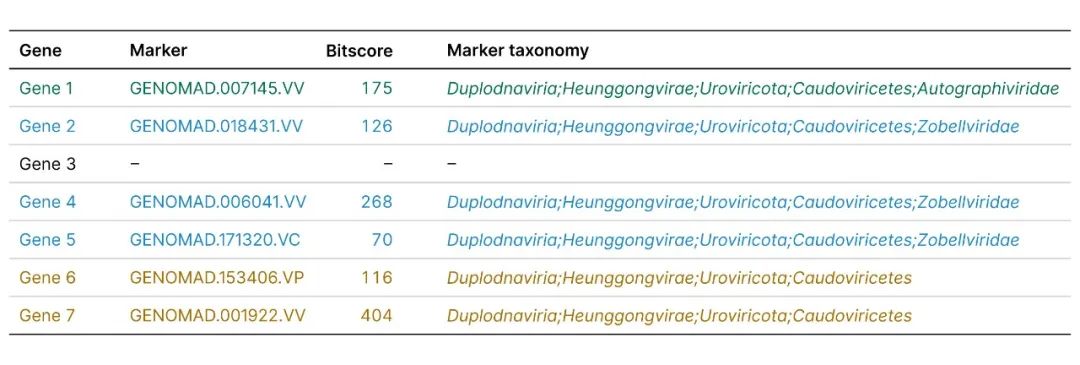 Nature Biotechnology | 使用geNomad识别移动遗传元素-CSDN博客