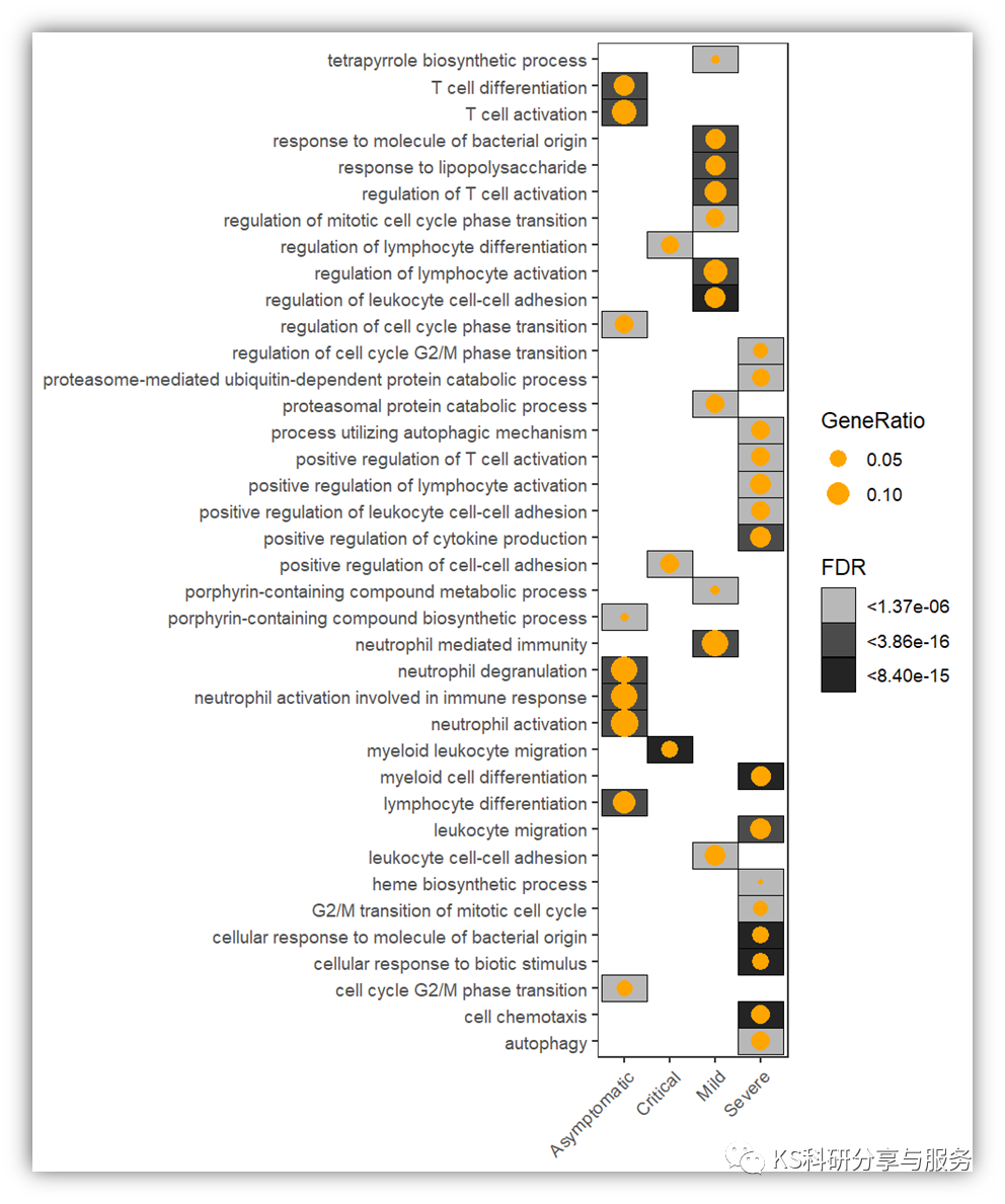学习Nature cell biology图标：离散热图气泡图表示通路富集结果_离散型变量热图解读-CSDN博客