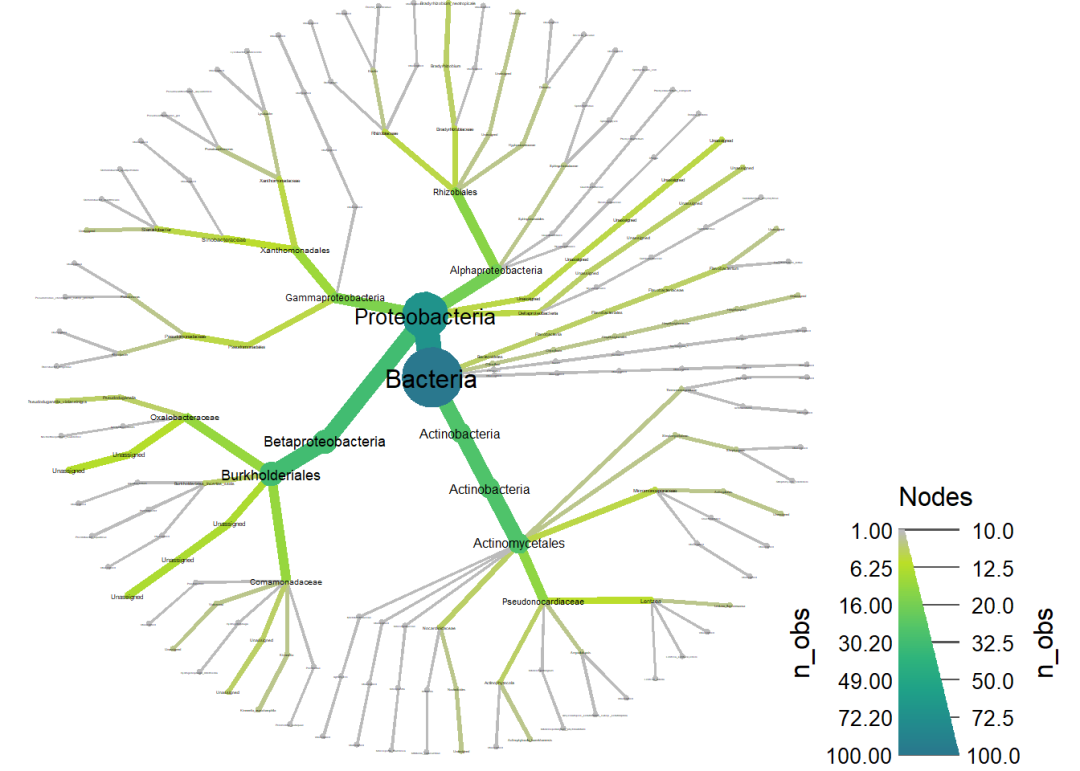 metacoder-相关进化树图的绘制于实践-CSDN博客