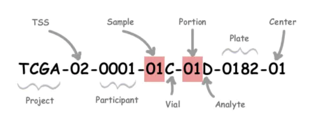 tcga样本编号_通过TCGA样本名获取分组信息-CSDN博客