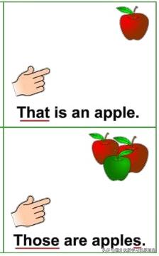 用法与区别_指示代词this, that, these, those的区别和用法-CSDN博客