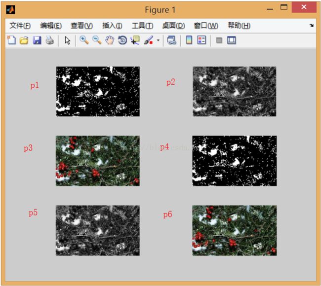 matlab 读取.pgm,【数字图像处理】pbm/pgm/ppm图片的读写（Matlab）_Ziang Li的博客-CSDN博客