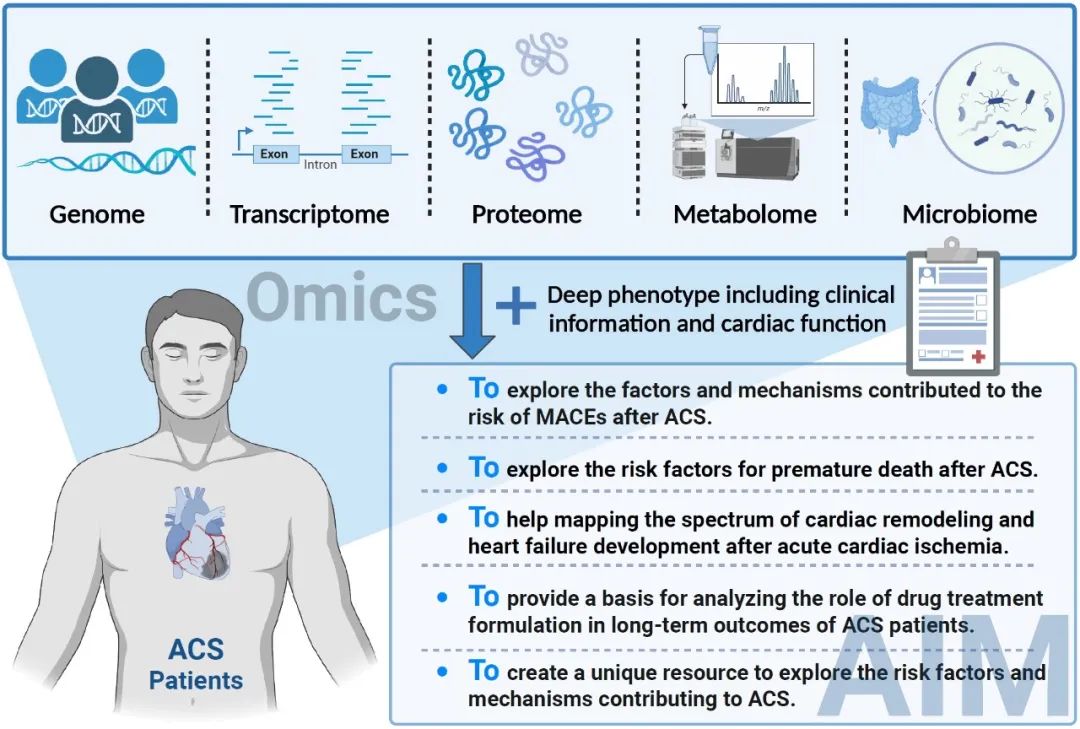 iMetaOmics期刊 第1卷第1期 在线正式发布-CSDN博客
