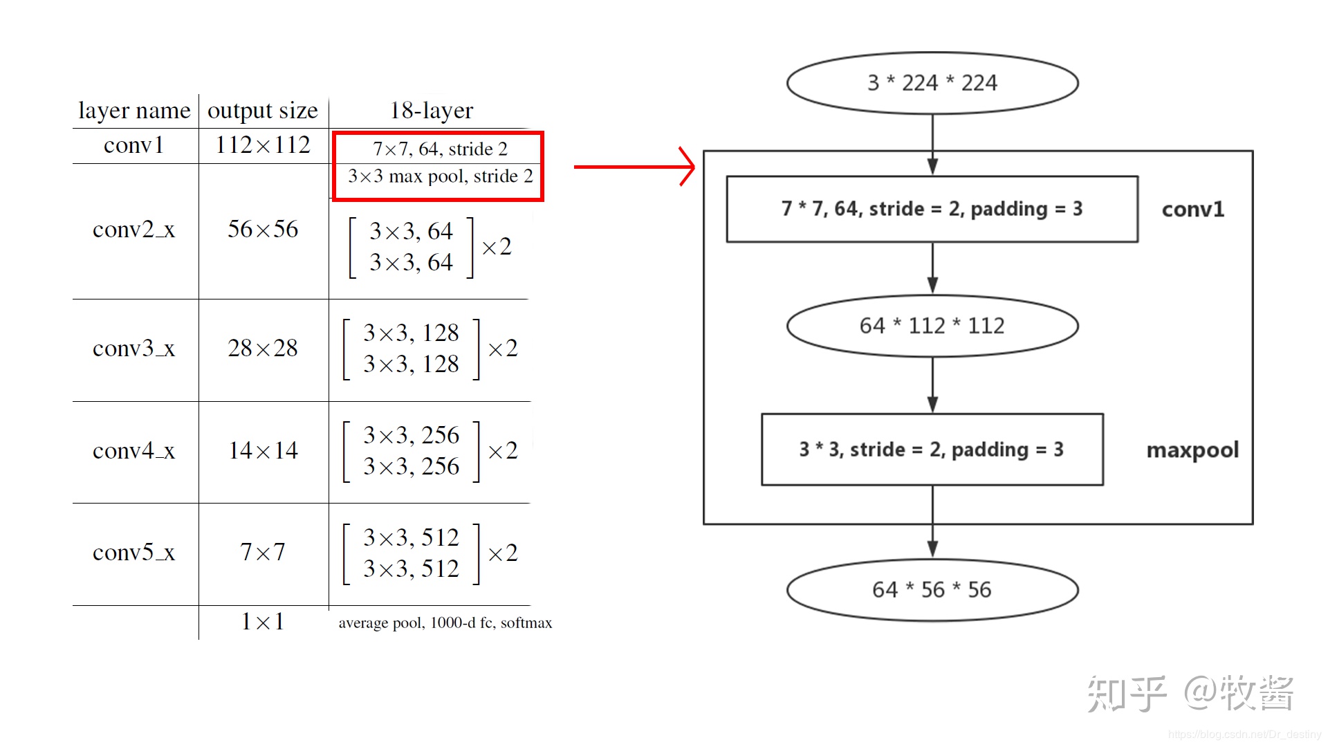 ResNet网络结构分析_resnet18和resnet34区别-CSDN博客