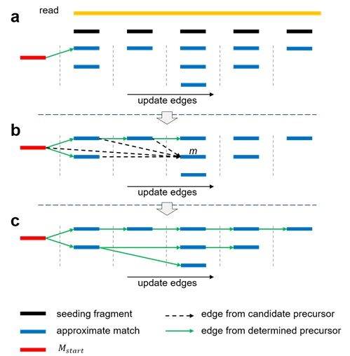 LAMSA：快速高效的三代序列比对算法_gem比对-CSDN博客