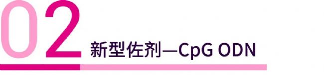 CpG ODN 在活化 pDC 以及增强免疫反应中的应用 - MedChemExpress-CSDN博客