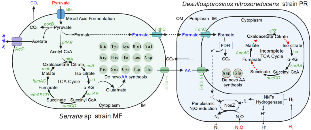Nature Communications | 酸性条件下土壤细菌还原N2O-CSDN博客