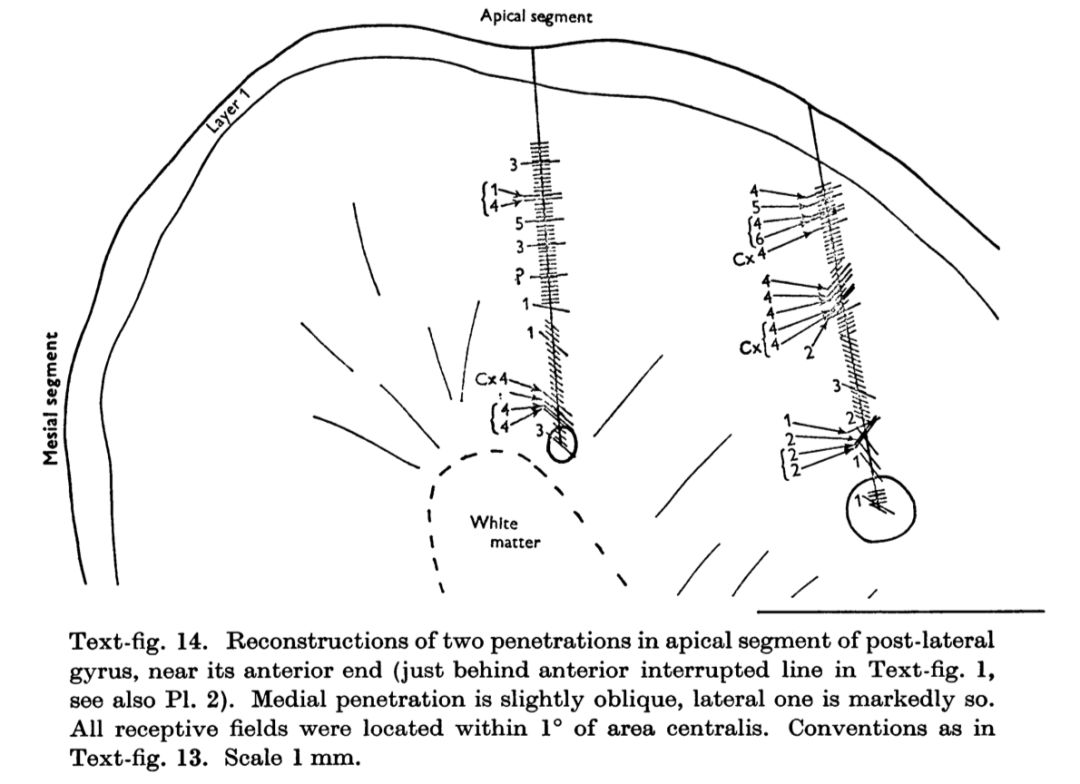 【每周论文推荐】 初入深度学习CV领域必读的几篇文章-CSDN博客