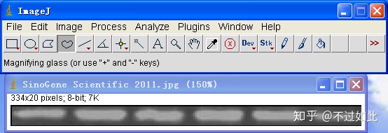 3蛋白wb_如何用ImageJ进行WB定量？-CSDN博客