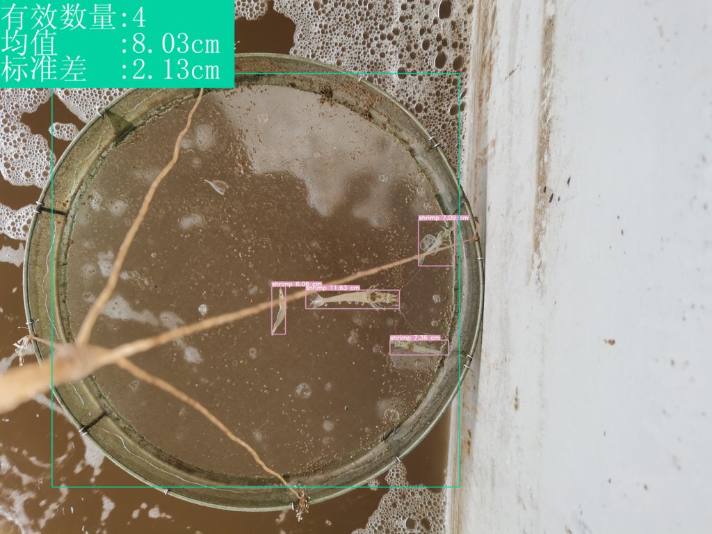 Opencv Puttext CSDN puttext 