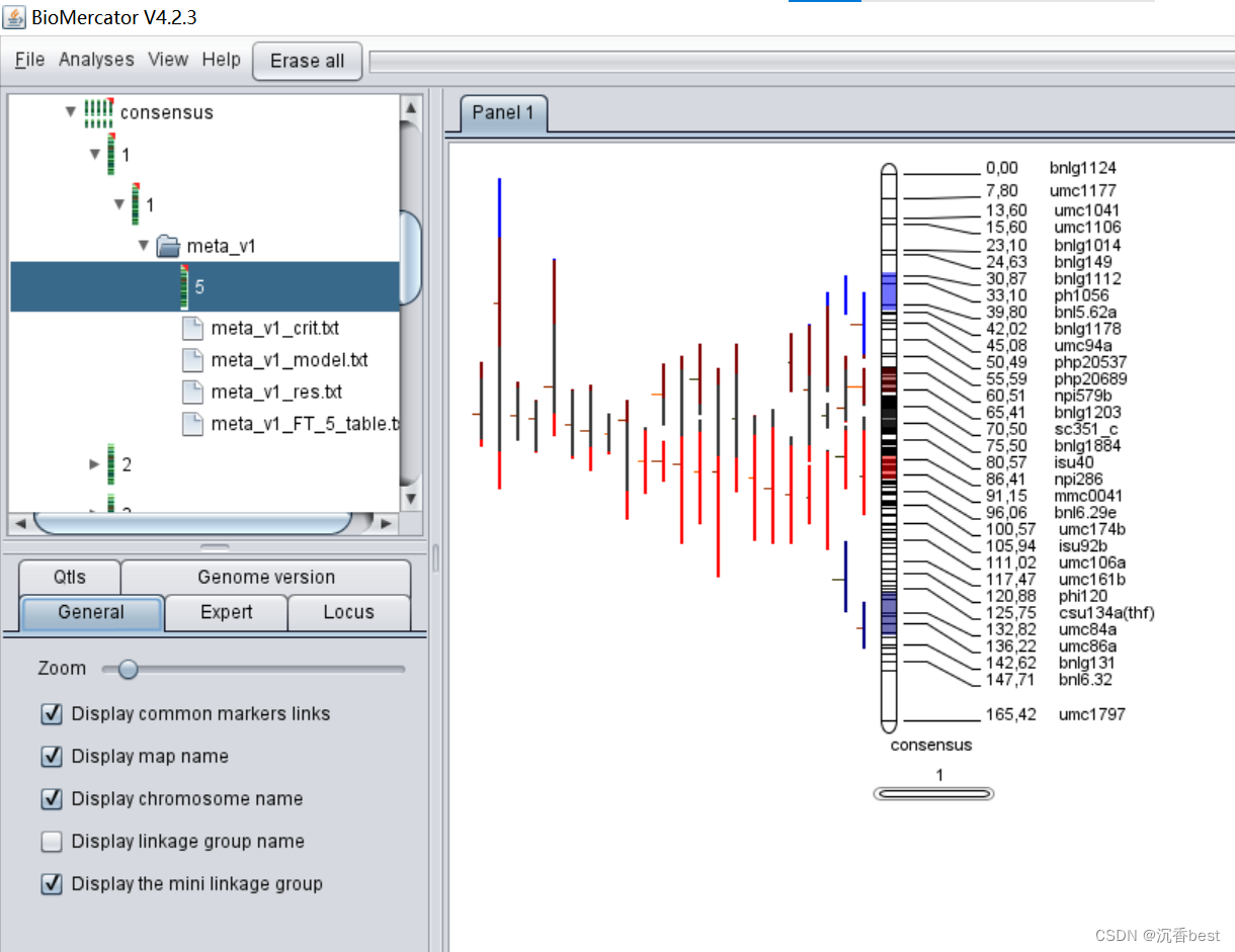使用BioMercator v.4.2软件进行Meta-QTL分析_biomercator软件怎么用_沉香GG的博客-CSDN博客