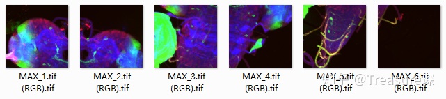 matlab拼接tiff文件_ImageJ实用技巧——自动图片拼接(基本功能篇)_weixin_39605578的博客-CSDN博客