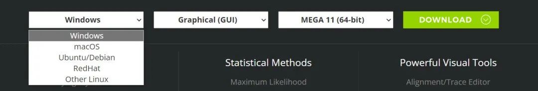 MEGA | 多序列比对及系统发育树的构建-CSDN博客