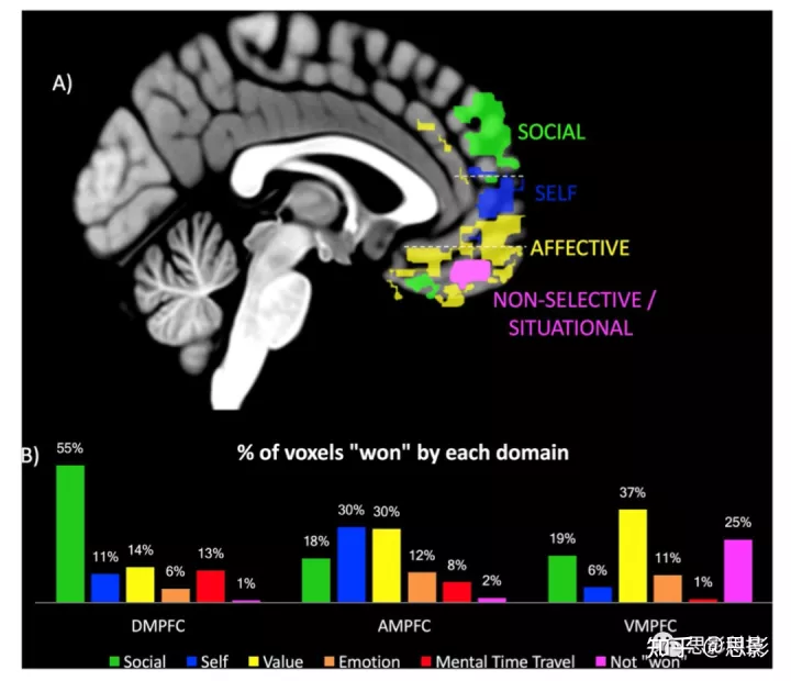 内侧前额叶皮层 (MPFC) 的社会、“自我”（self）、（情境）和情感过程：因果、多变量和反向推理证据-CSDN博客