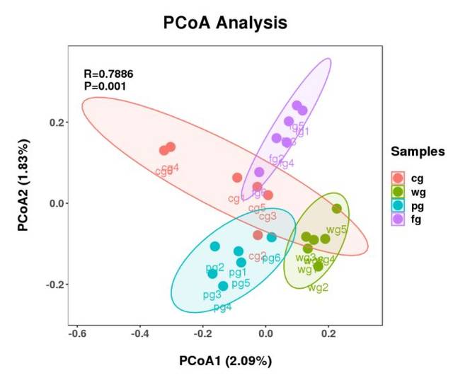 r语言做绘制精美pcoa图_三分钟绘制一张优美的PCoA图 | 云平台_小球喵的博客-CSDN博客