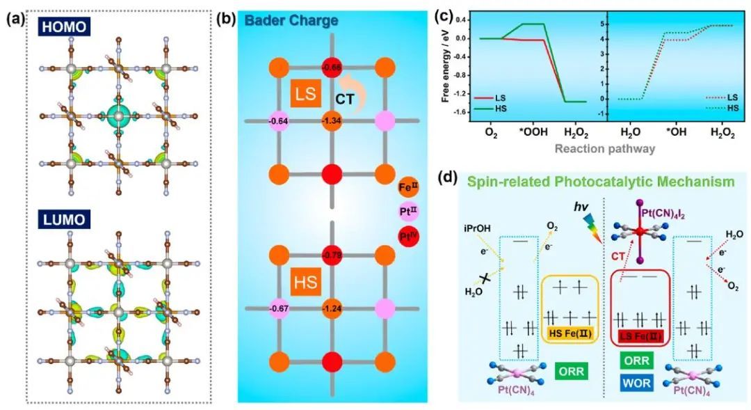 【VASP解读】 JACS：动态自旋态转变控制光催化整体反应_vasp高低自旋-CSDN博客