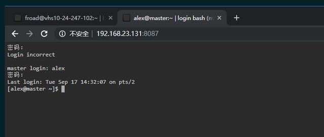 linux websocket_通过浏览器实现 Linux 终端访问 - ttyd 介绍-CSDN博客