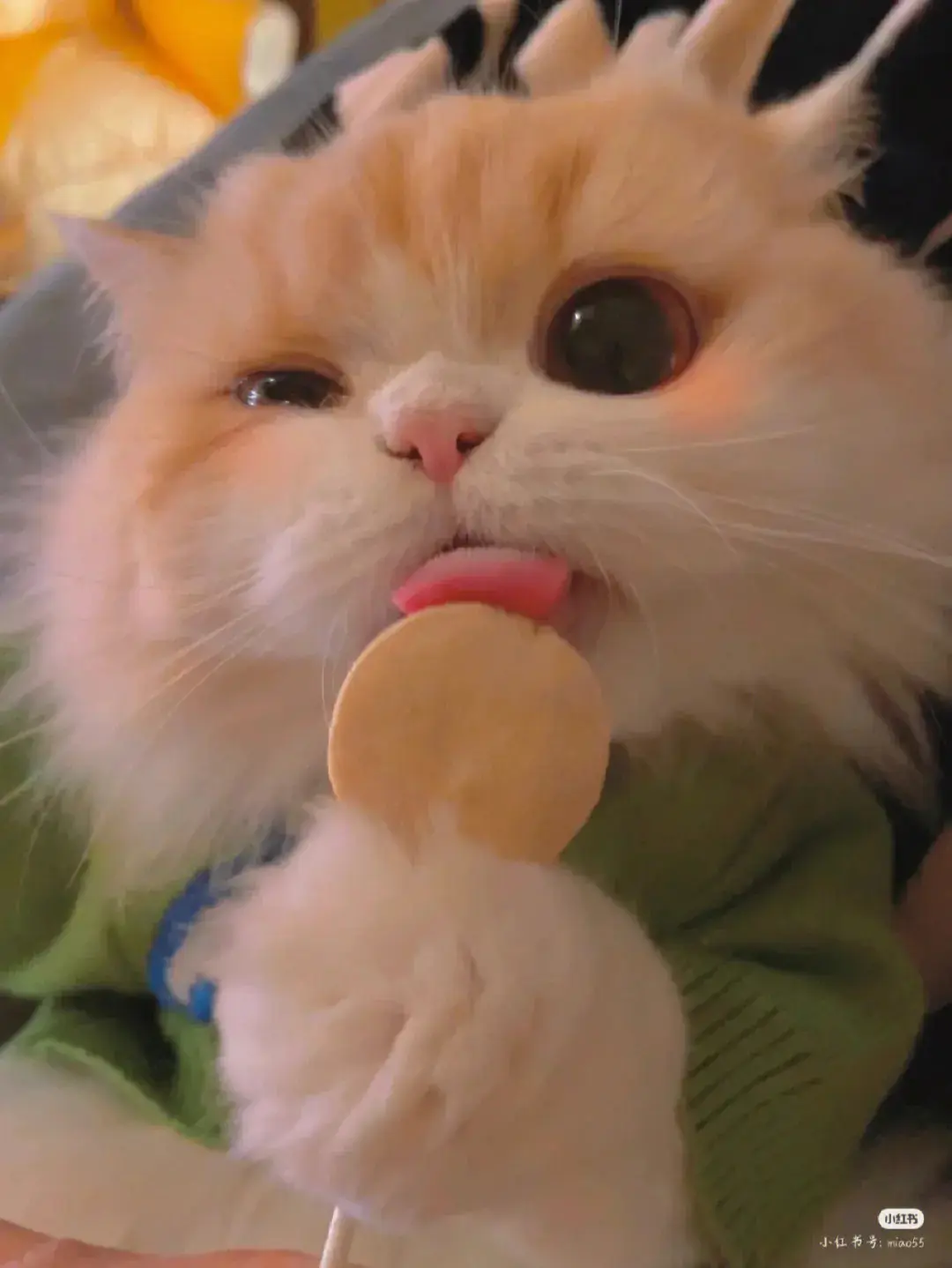 java脑洞 OpenFeign动态修改ServerName和url解决方案_openfeign动态url与服务名混用-CSDN博客