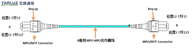 关于MPO光纤连接器你知道哪些？_32芯mpo线序-CSDN博客