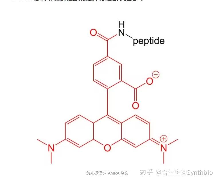 多肽合成荧光标记多肽FITC/AMC/FAM/Rhodamine/TAMRA/Cy3/Cy5/Cy7-Peptide常见基团介绍_fam修饰-CSDN博客