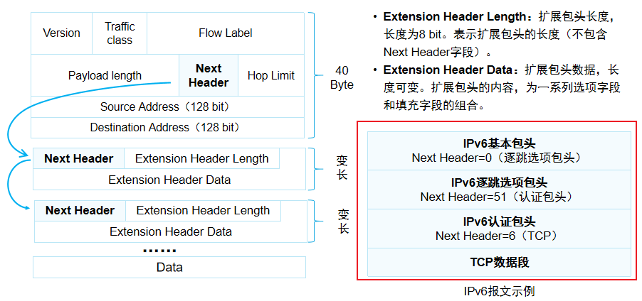 计算机网络-IPv6基础概念_ipv6扩展包头-CSDN博客