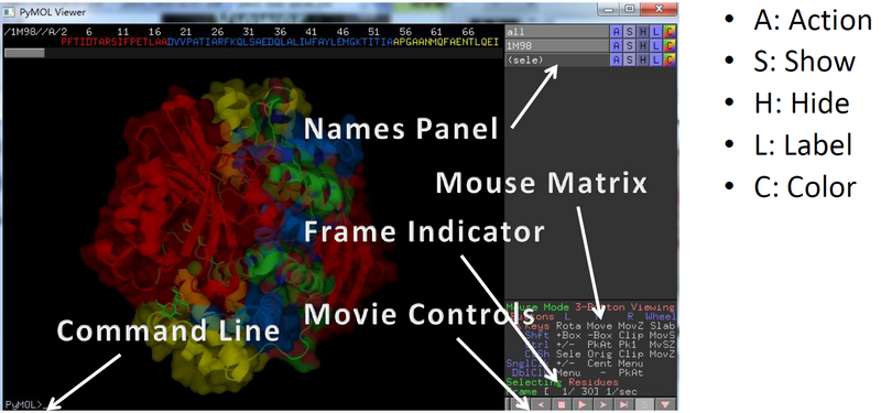 pymol安装教程linux,PyMOL | Pymol绘图教程（一）-CSDN博客