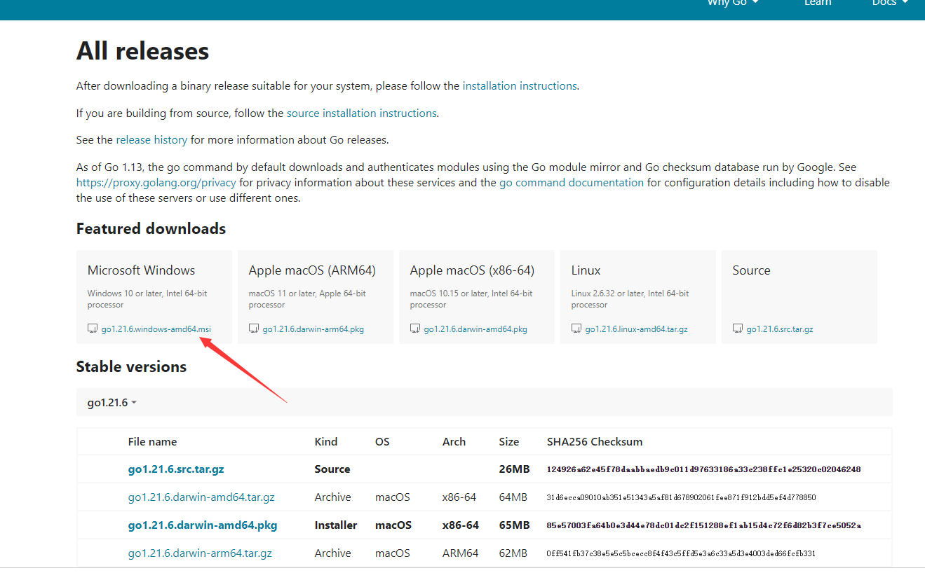 win11 1.21go语言环境配置_win安装go-CSDN博客