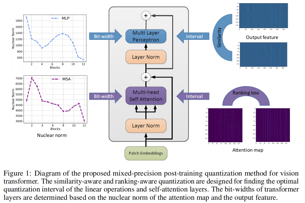 量化部署 | ViT应该如何进行PTQ量化？这个方法可以参考！-CSDN博客