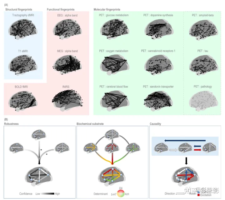 脑连接组学（PET）_pet在全脑图谱的绘制中-CSDN博客